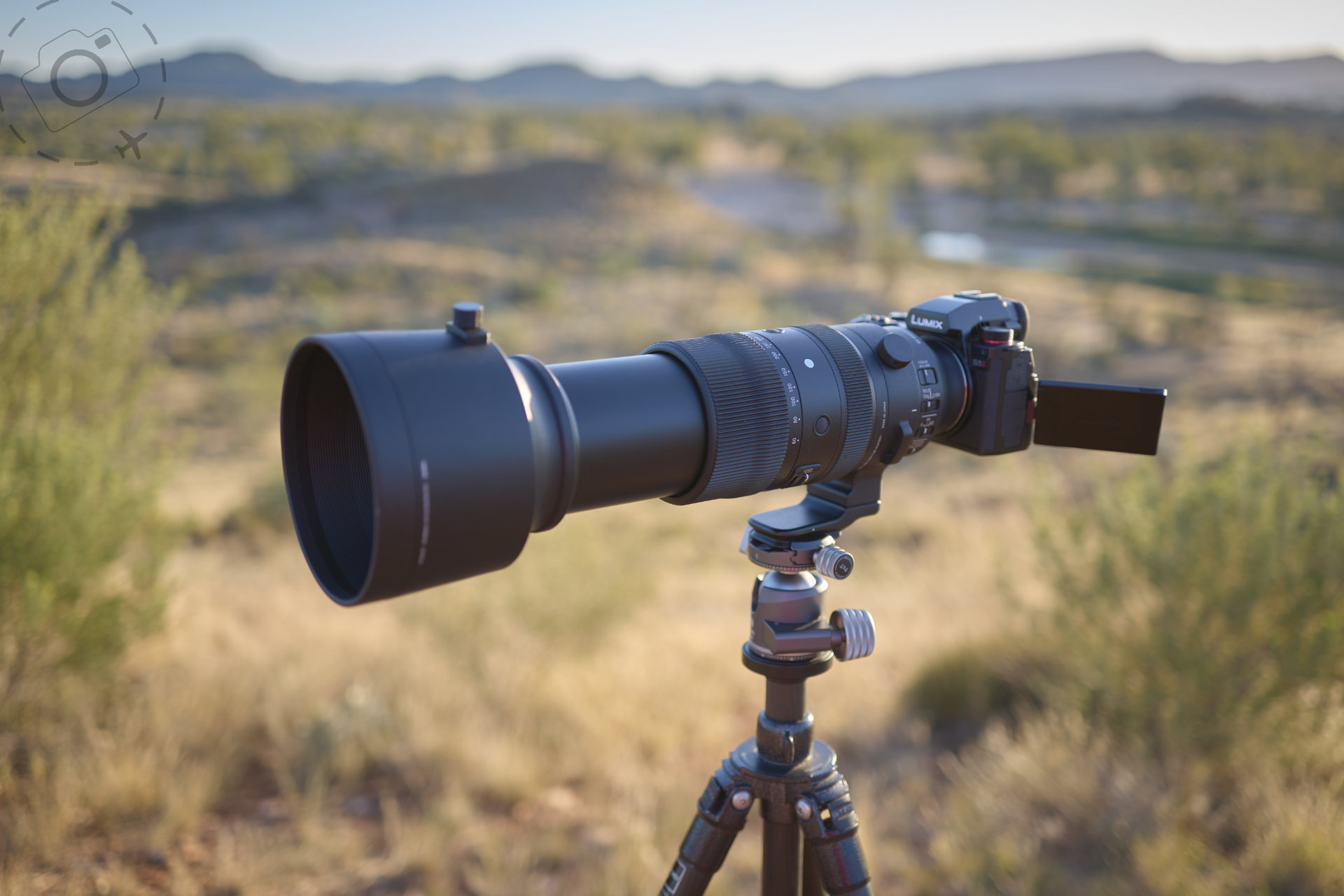 SIGMA 60-600mm Field Review