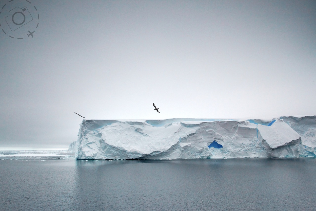 Why the Ice is so Nice