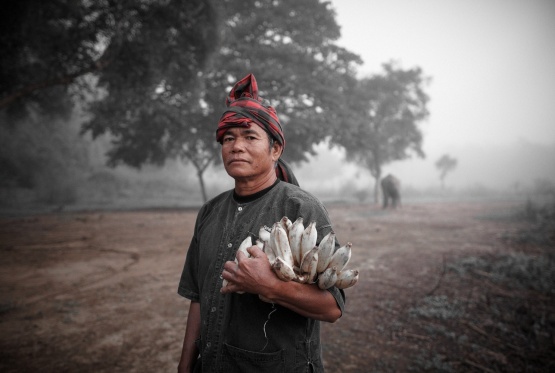 Golden Triangle - Photo Essay