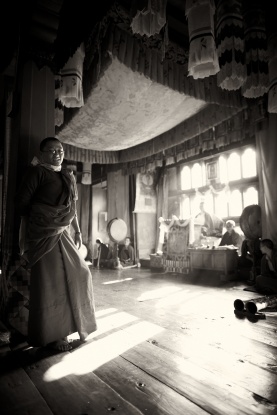 Tigers and Nuns - Photo Essay