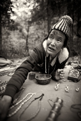 Tigers and Nuns - Photo Essay