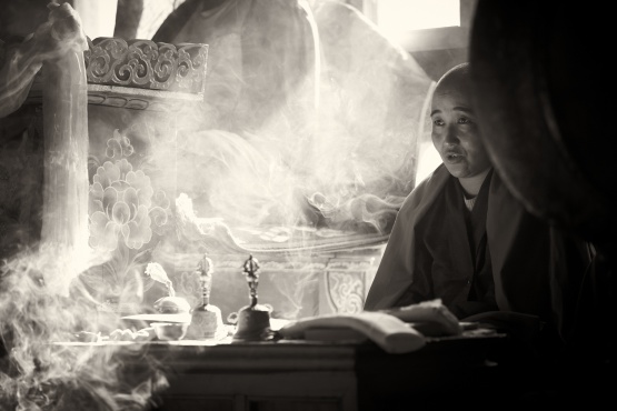 Tigers and Nuns - Photo Essay